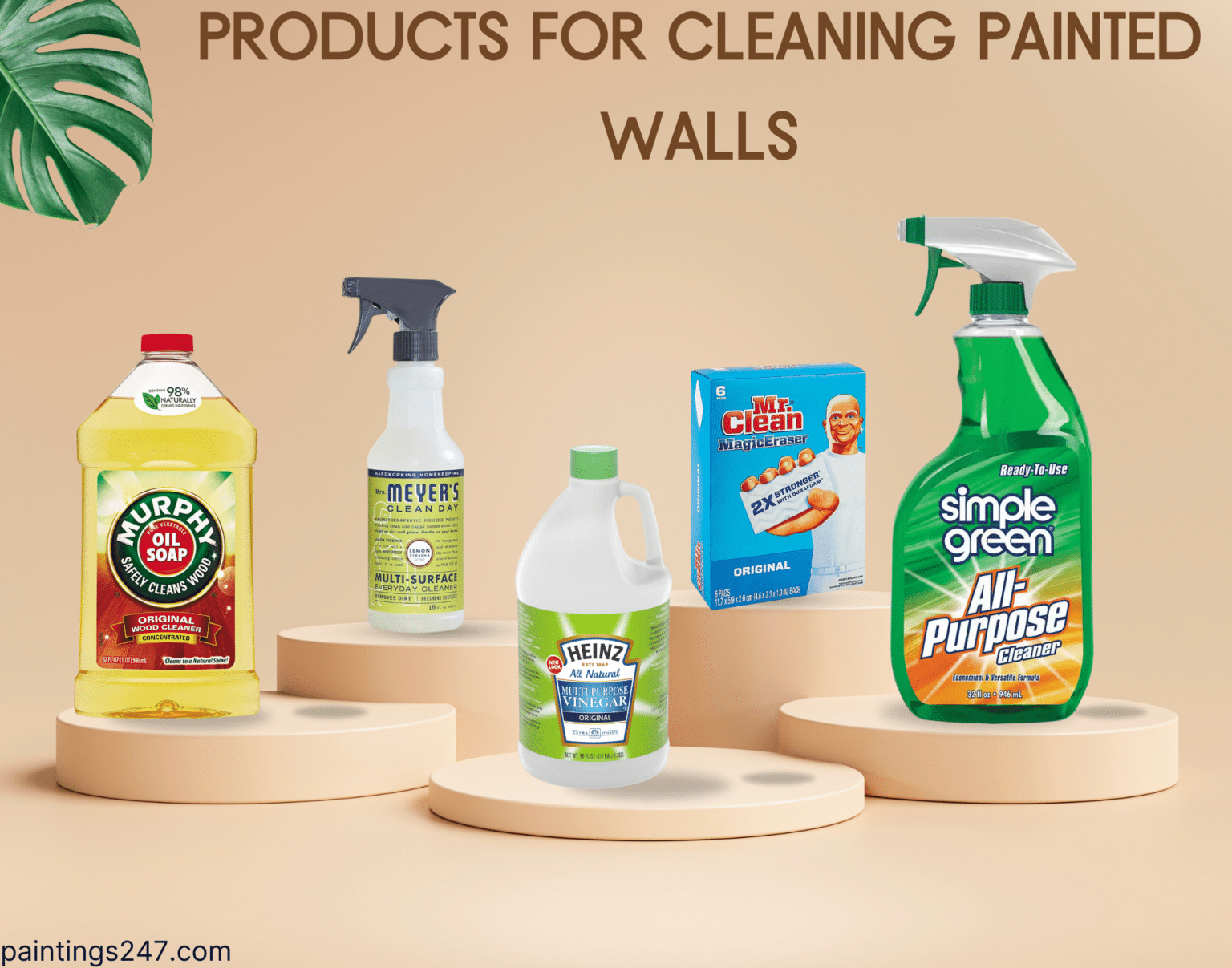 [Guide] How to Clean Painted Walls